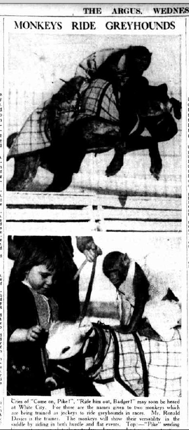 Talking psychogeography on Life Matters – Nick Gadd – author